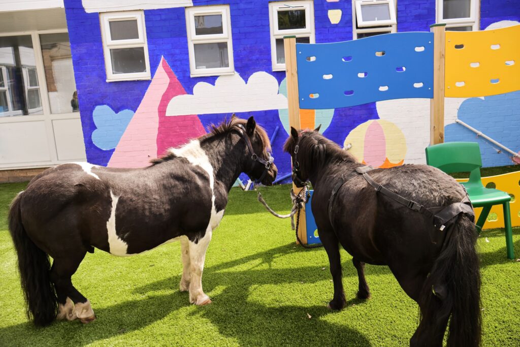 2024 so far at Northern Counties School - Percy Hedley Foundation